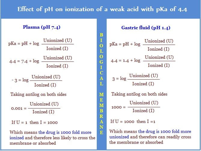 Absorption of drugs