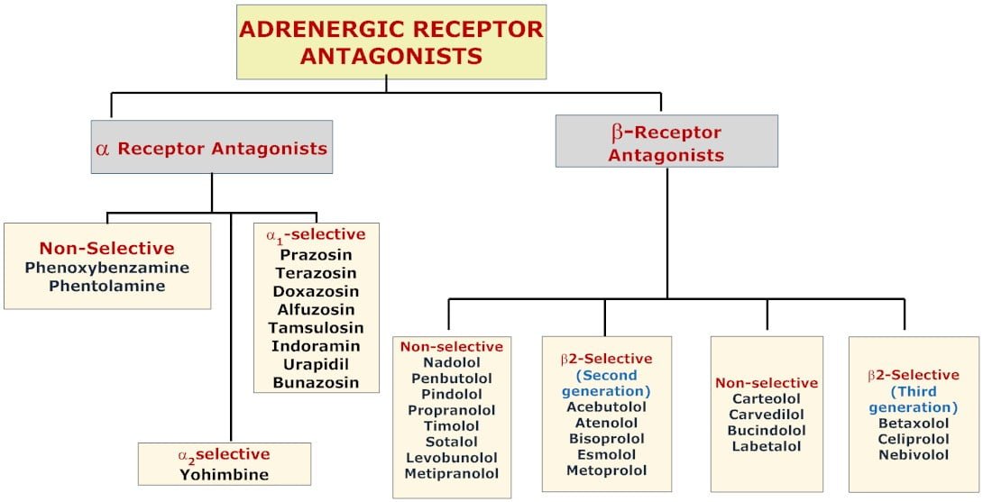 What Are Adrenergic Drugs Animals Pharmacology Our Latest Blog Post