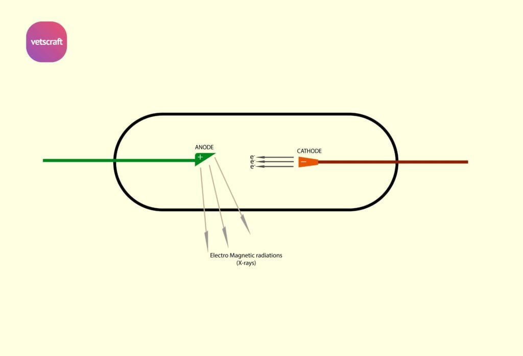 Production of x-rays - Sequence of Events and Emission