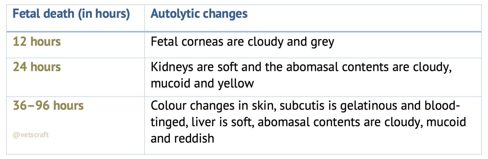 Abortion in Cow (Bovine Abortion) | Pathophysiology and Causes
