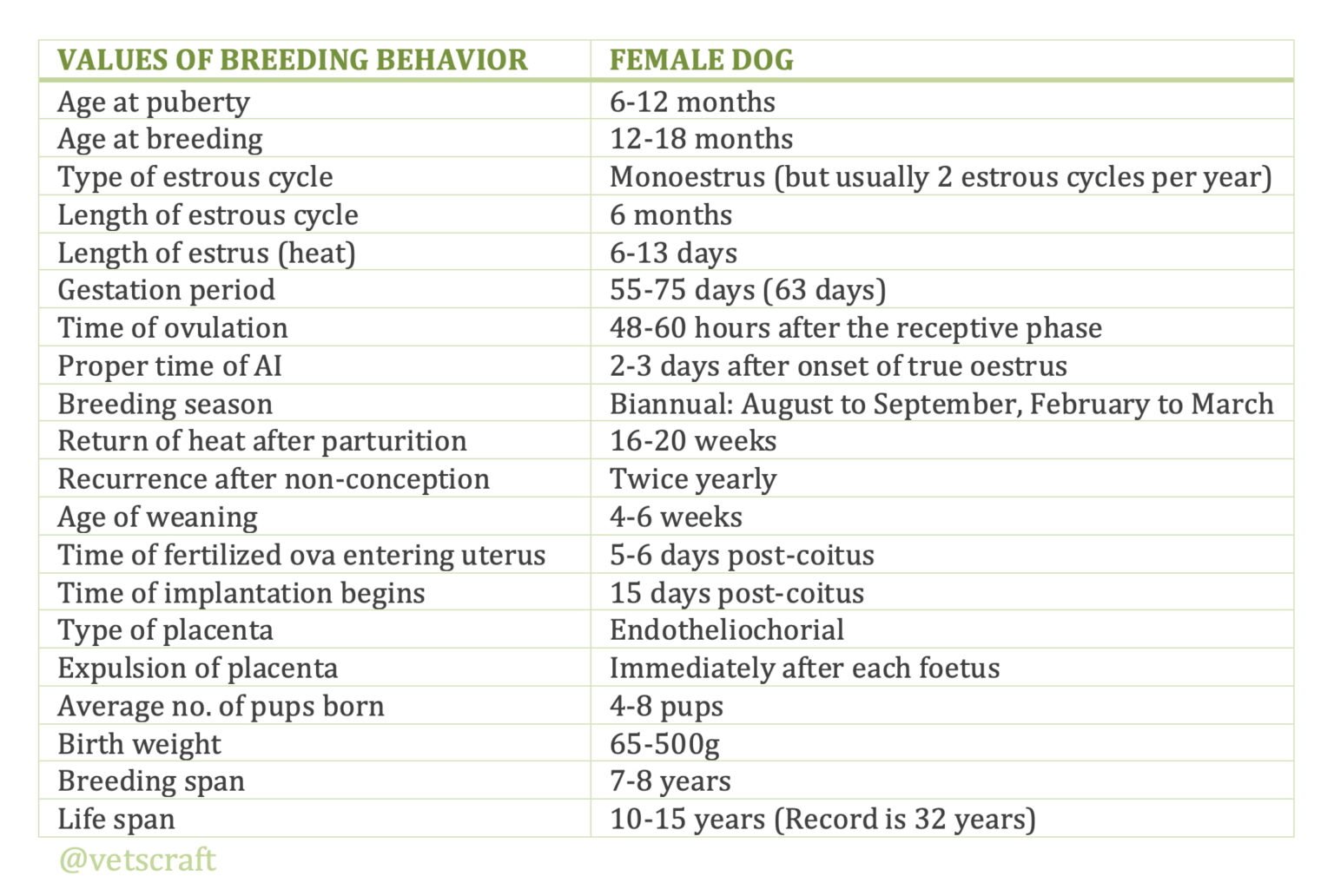Breeding of the Bitch (Female Dog) | All a Vet Must Know