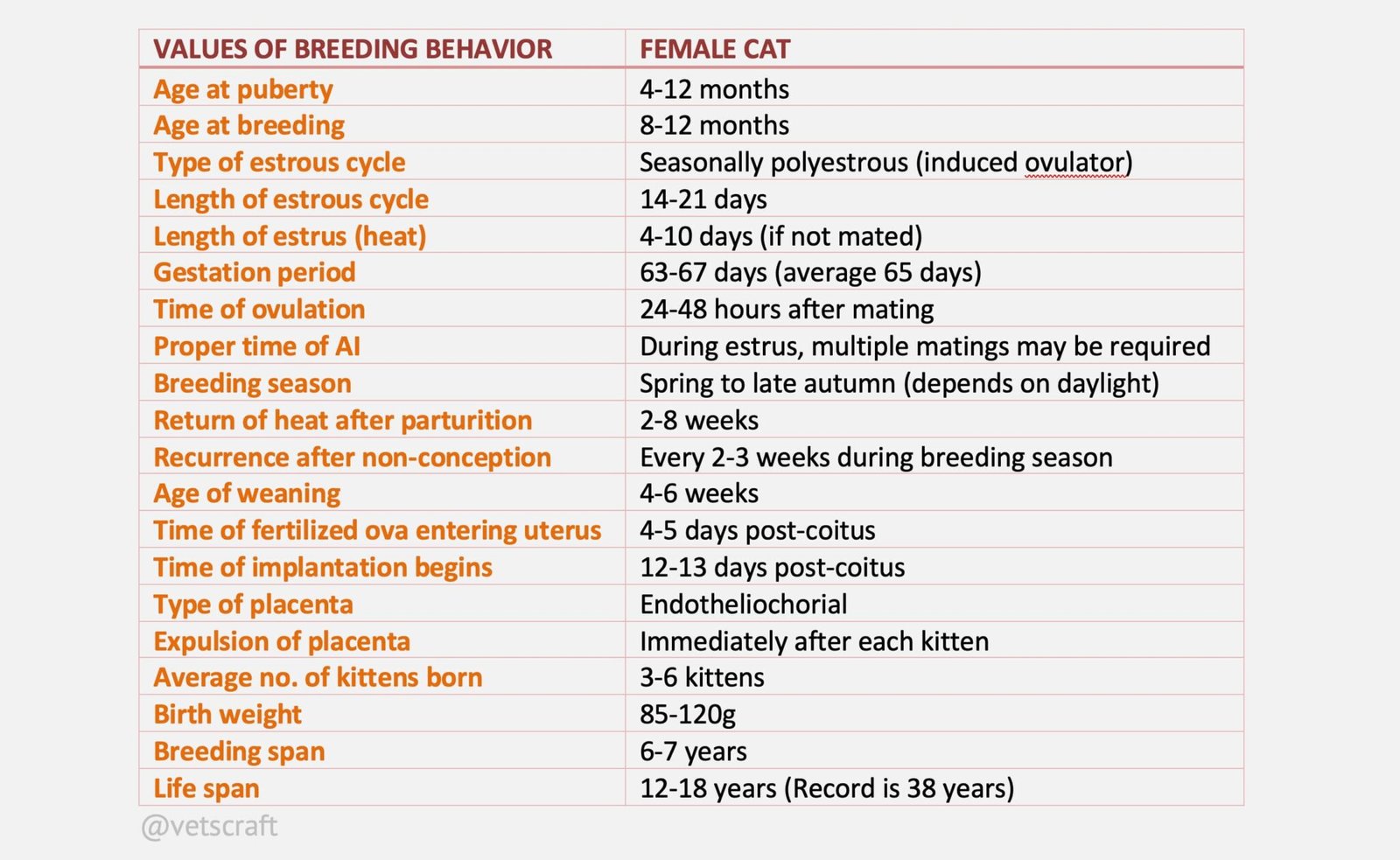 Breeding Management of Cats | Reproductive Detail & Estrus Signs