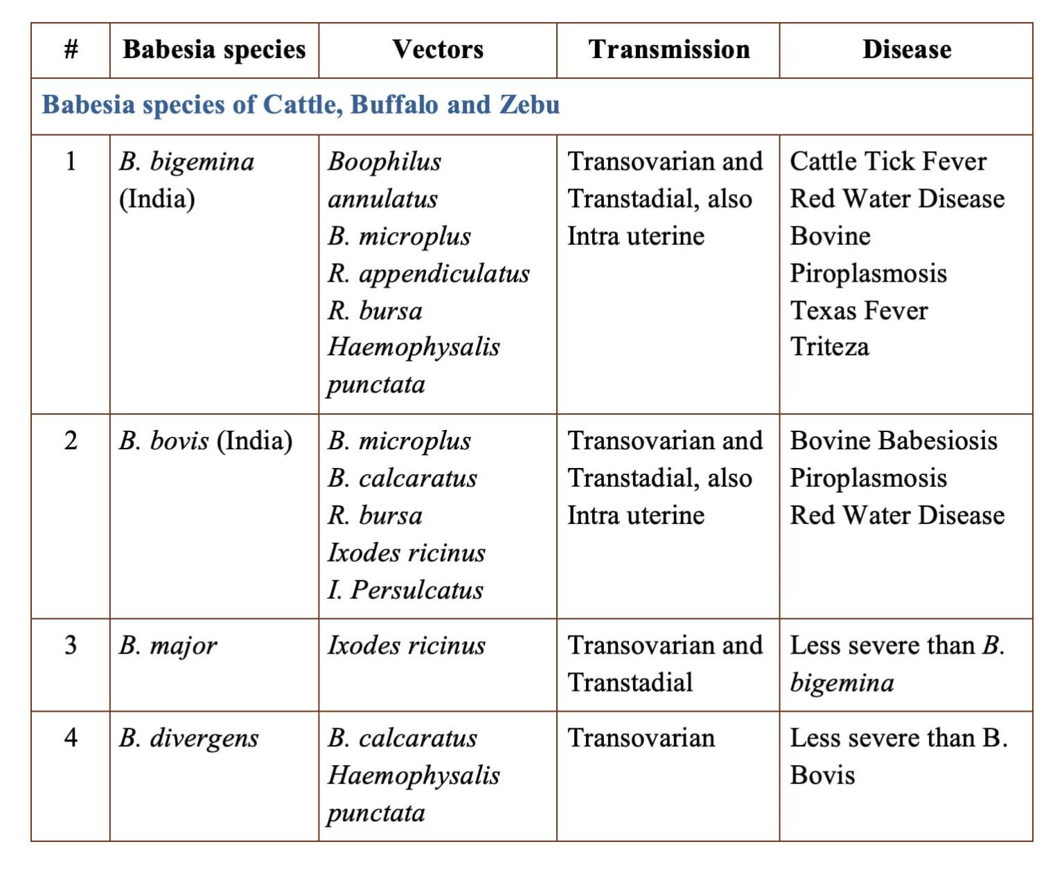 Babesiosis | Vector Borne Disease of Animals