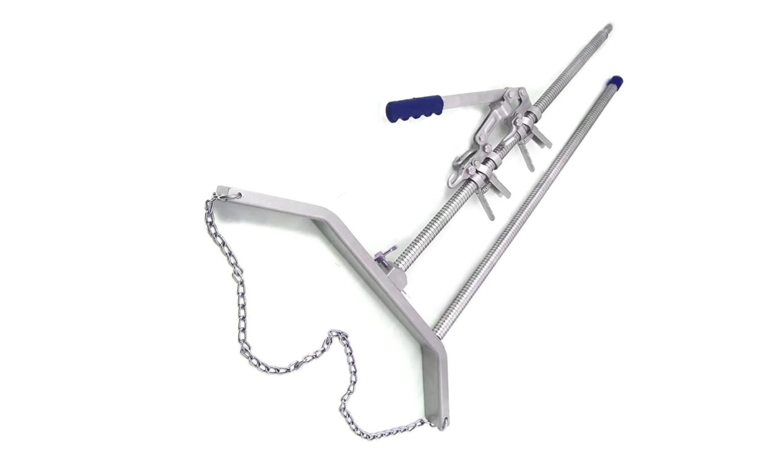 Fetal Extraction or Traction from the Dam in Animals | Obstetrics