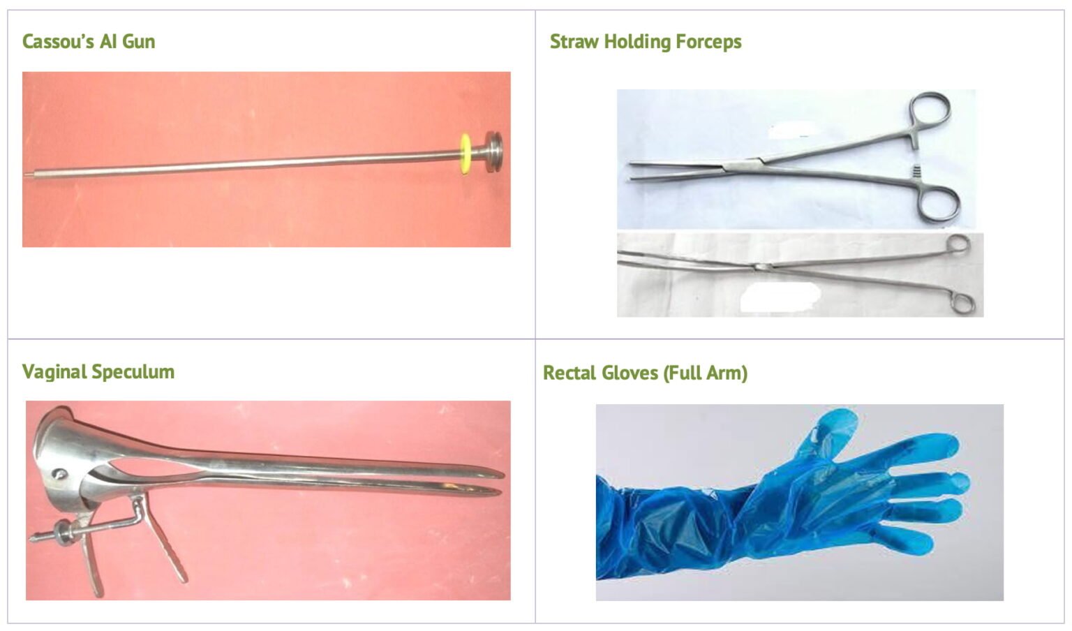 Artificial Insemination Instruments | All AI Equipments with Pictures