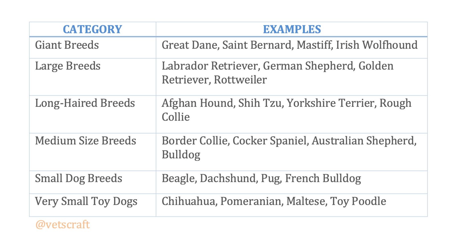 Choosing a Dog to Keep | Size, Coat Type, Sex and Age | Vetscraft