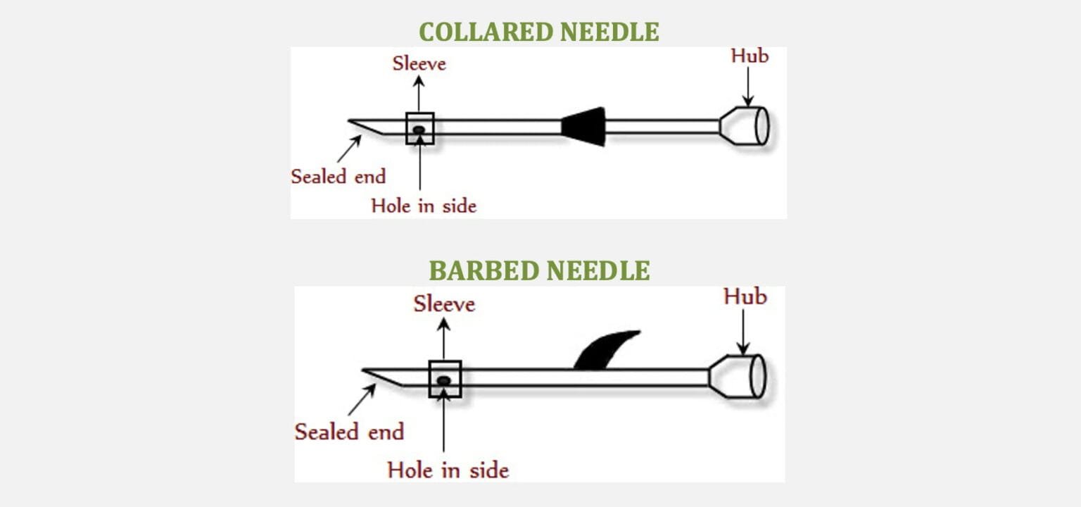Chemical Restraints in Wild Animals | Zoo & Wild Animal Medicine
