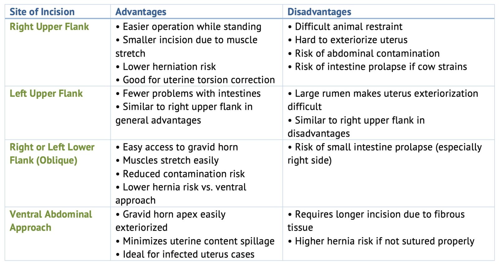 Caesarean Section (C-section) in Veterinary Obstetrics