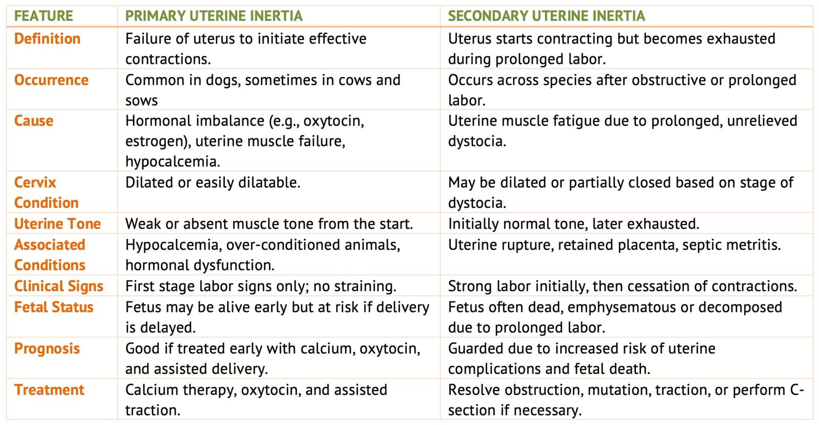 Uterine Inertia in Animals | Causes, Clinical Signs & Treatment