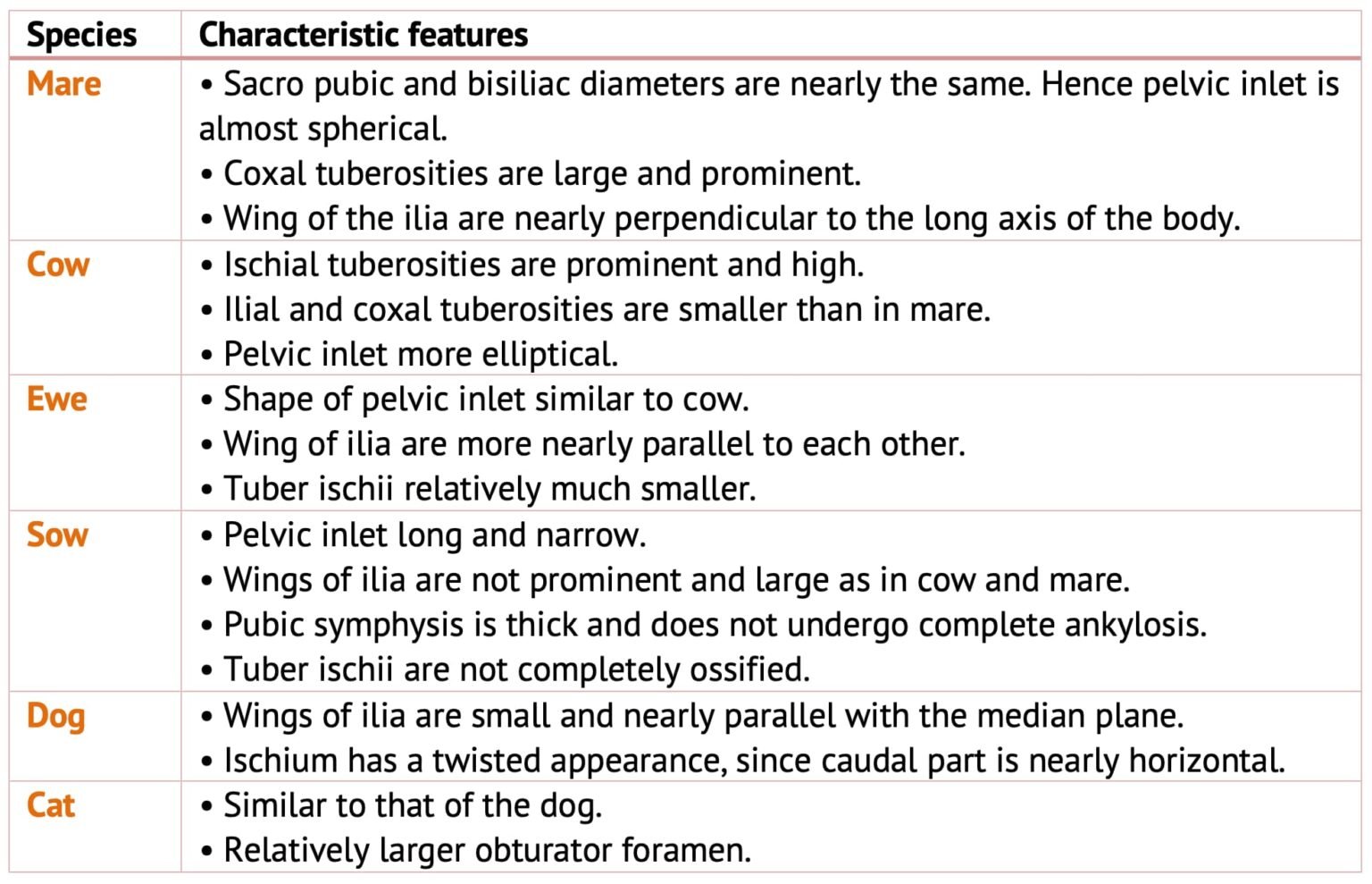 Reproductive Anatomy and Structure of the Bony Pelvis | VGO