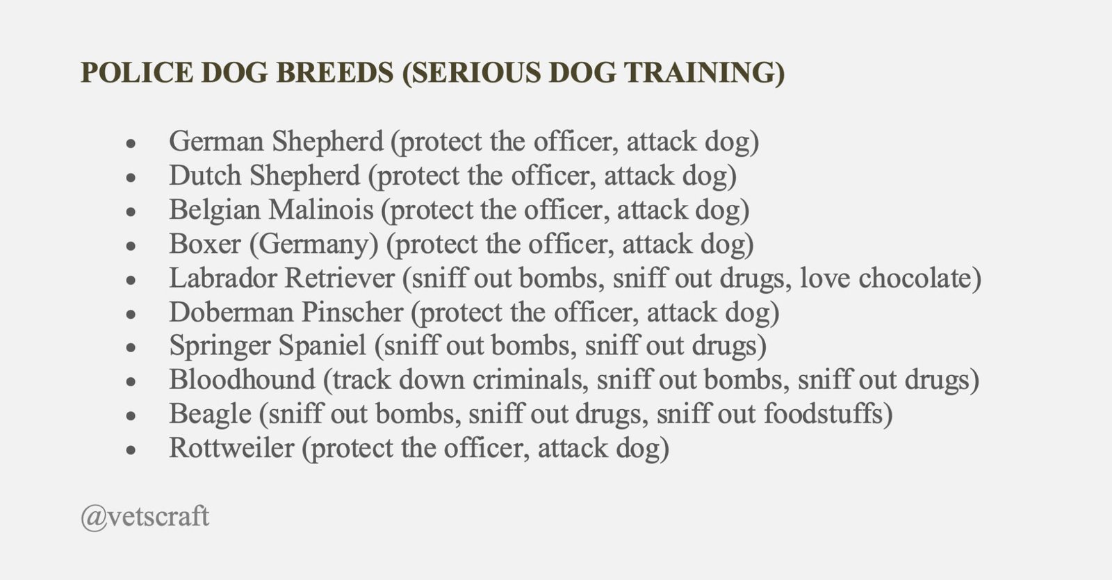 Serious Training of Dogs | Training Equipments, Terms & Schedule