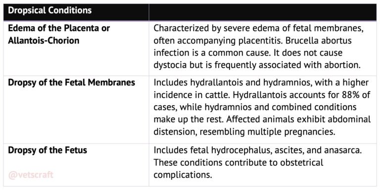 Dropsical Conditions of Fetal Membranes and Fetus | Obstetrics