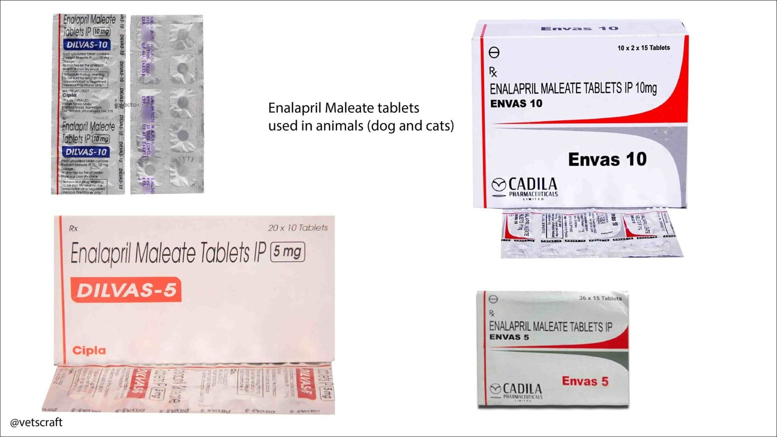Enalapril for Animals | Enalapril Maleate for Dog and Cats