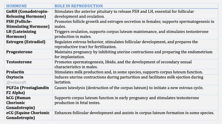 Endocrine Regulation of Reproduction | Hormonal Functions