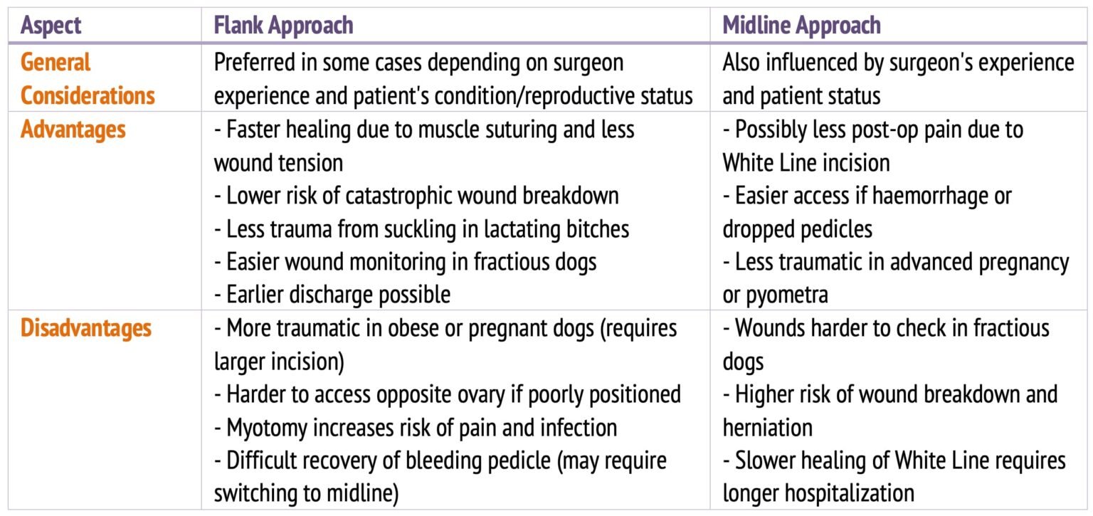 Ovariohysterectomy (OHE) in Dogs | Canine Spaying Surgery