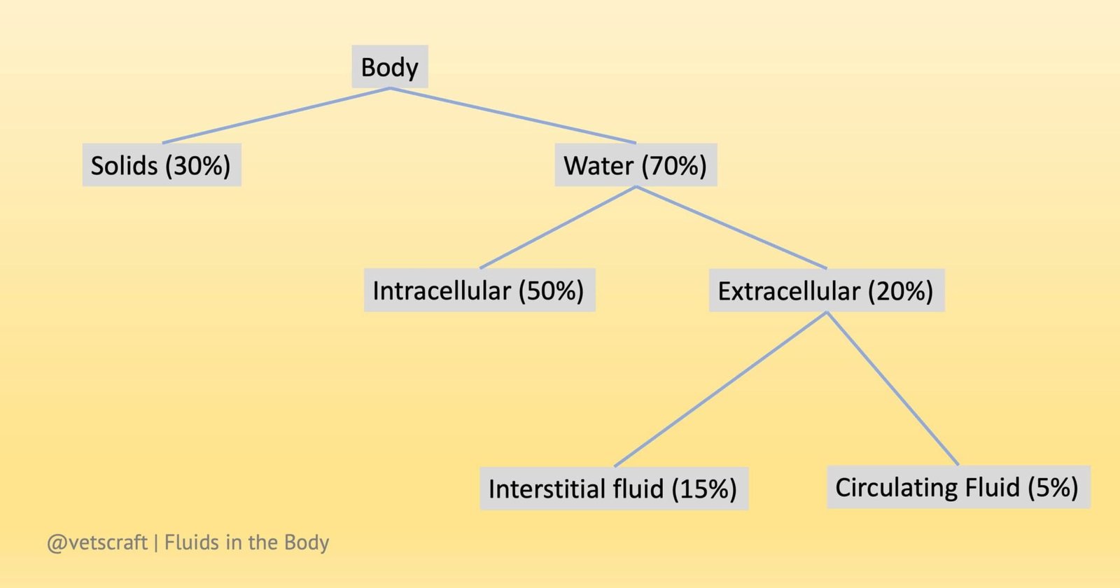 Dehydration: Loss of Fluid and Electrolytes