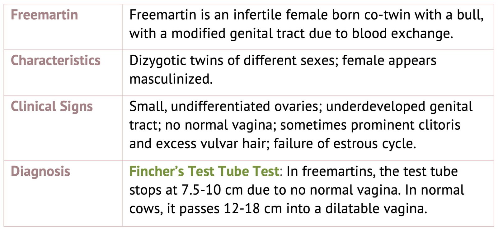 Freemartin in Animals | Infertile Female with Modified Genital Tract