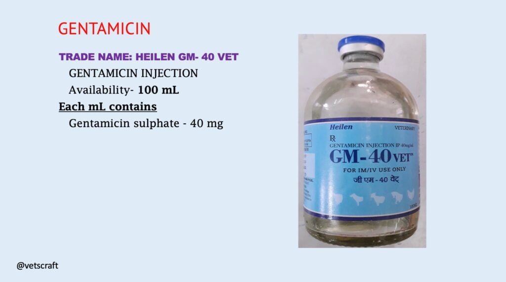 Gentamicin for Animals - Dog, Cat, Cattle, Horse, Pig, Sheep, Goat