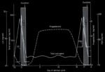 Estrous Cycle in Cats (Queen Cat) | Feline Heat Cycle