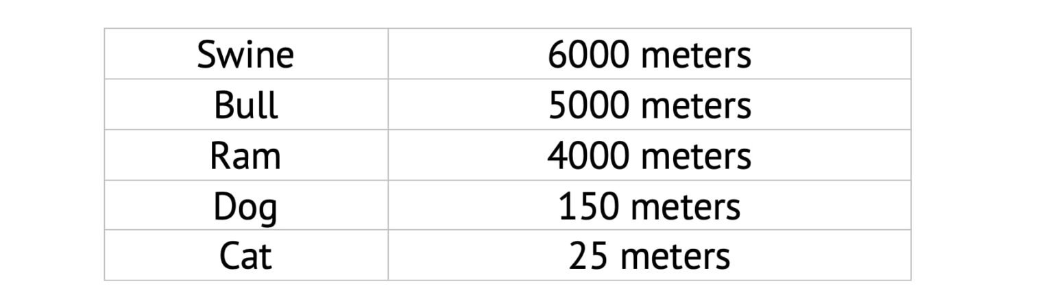 Testis (Testes) in Animals: Development, Features and Structure