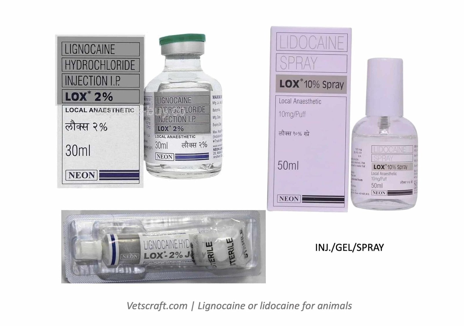 Dexamethasone for animals | Dogs, Cats, Horses, Sheep & Goats