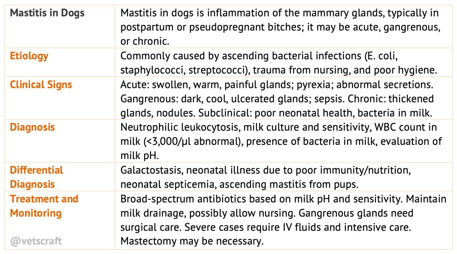 Mastitis in Dogs | Mammary Gland Inflammation in Female Dogs
