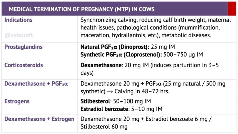 Medical Termination of Pregnancy in Cows | Abortion Induction