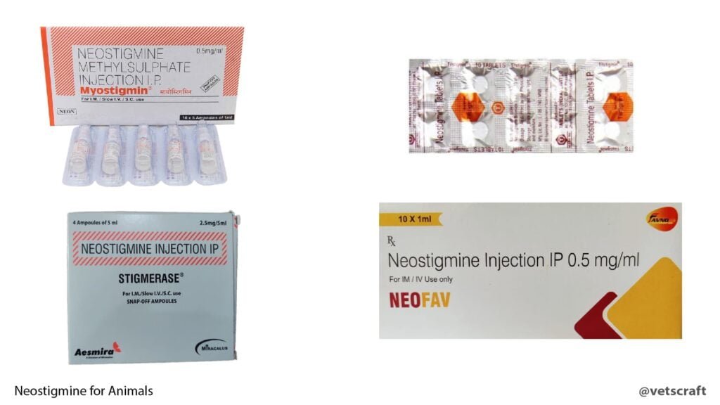 Neostigmine for Animals - Dog, Cat, Horse, Cattle, Swine, Sheep