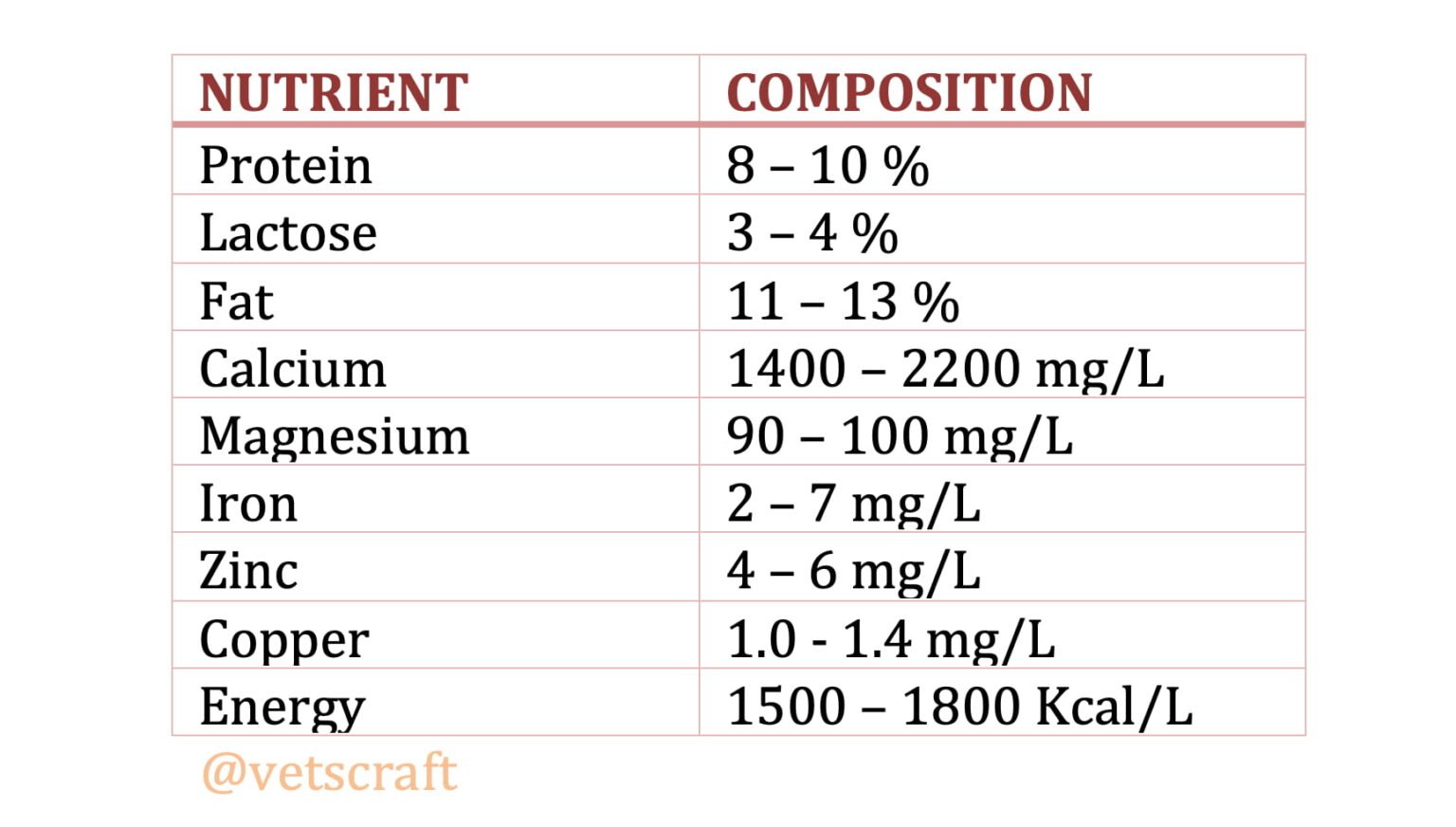 Energy Requirements in Dogs | Veterinarian's Calculation & Advice