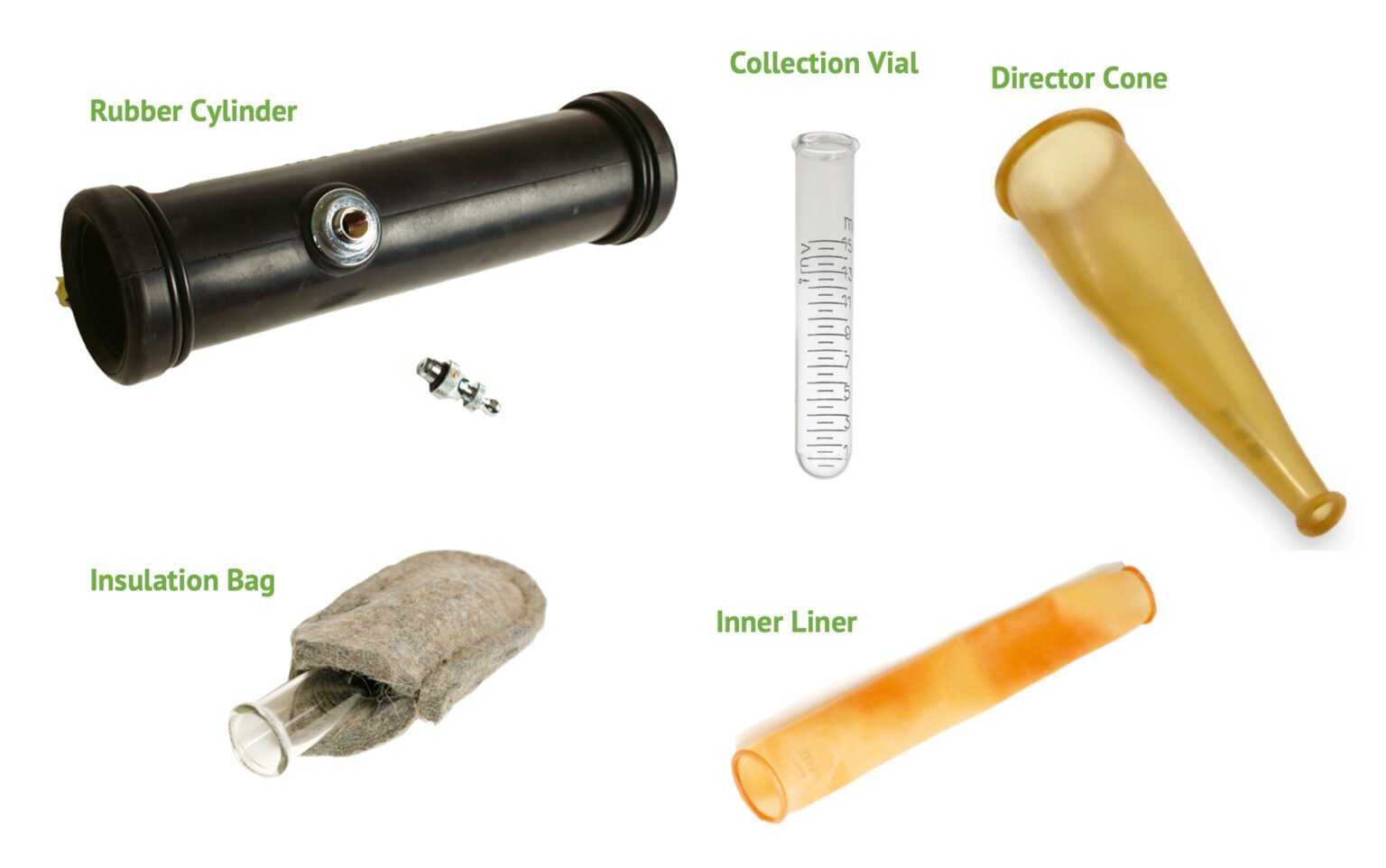 Artificial Vagina for Semen Collection in Bull & Collection Procedure