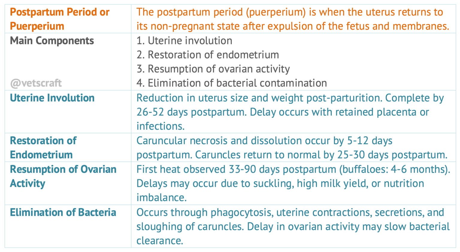 Postpartum Period or Puerperium