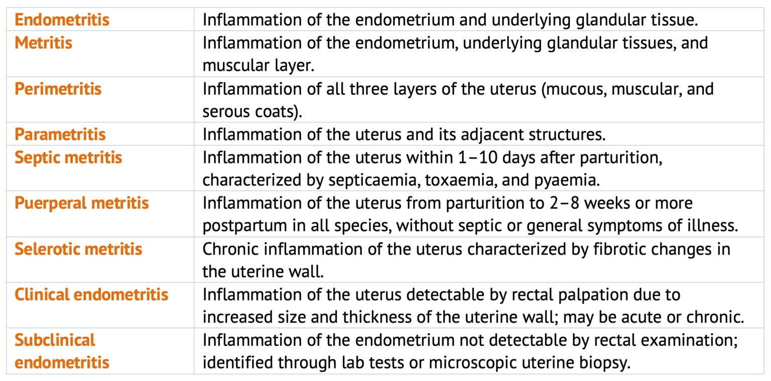 Postpartum Uterine Infections in Animals | Types & Etiology