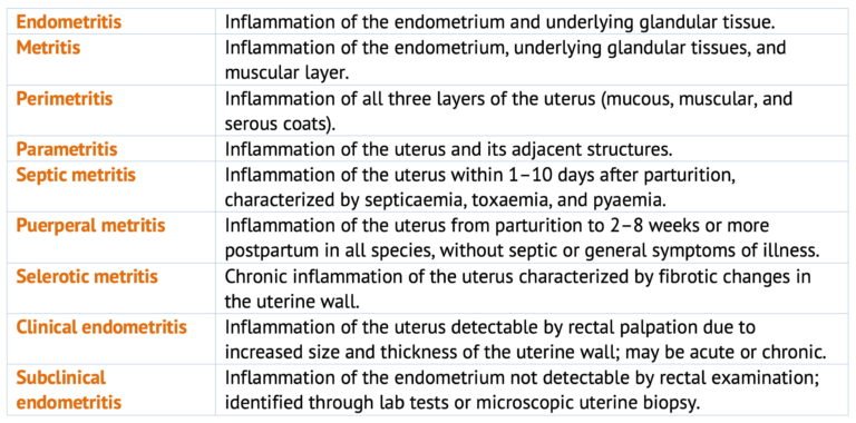 Postpartum Uterine Infections in Animals | Types & Etiology