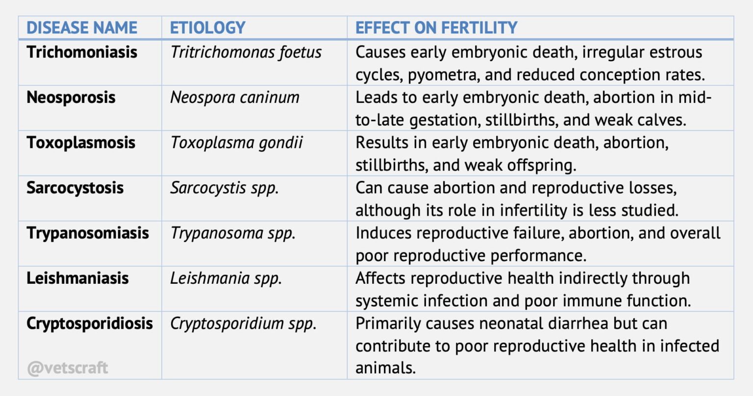 Protozoal Diseases Causing Infertility in Animals | Vet Gynaecology