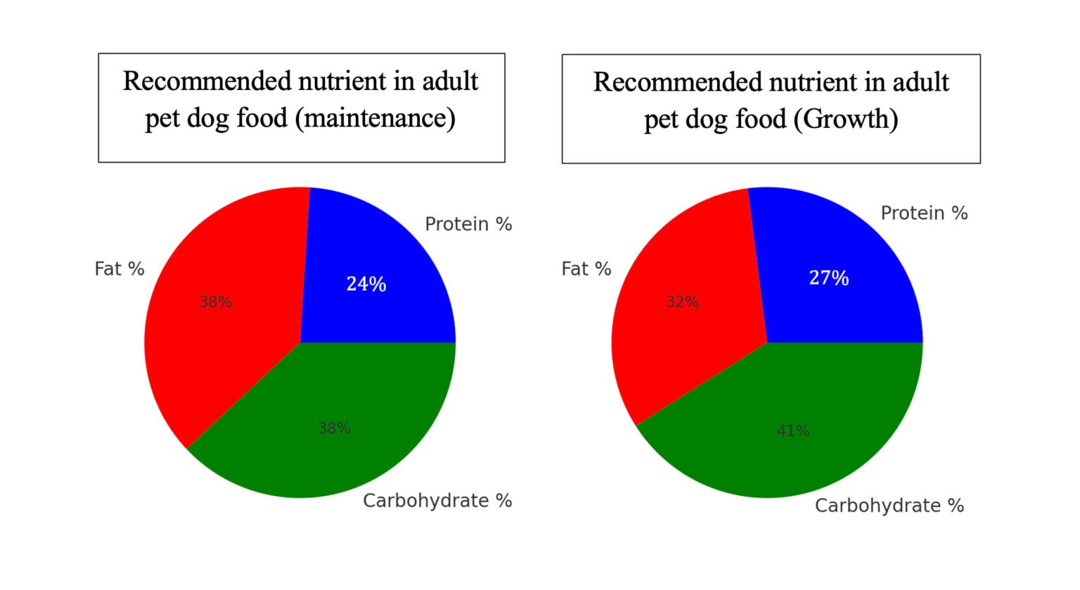 Energy Requirements in Dogs | Veterinarian's Calculation & Advice
