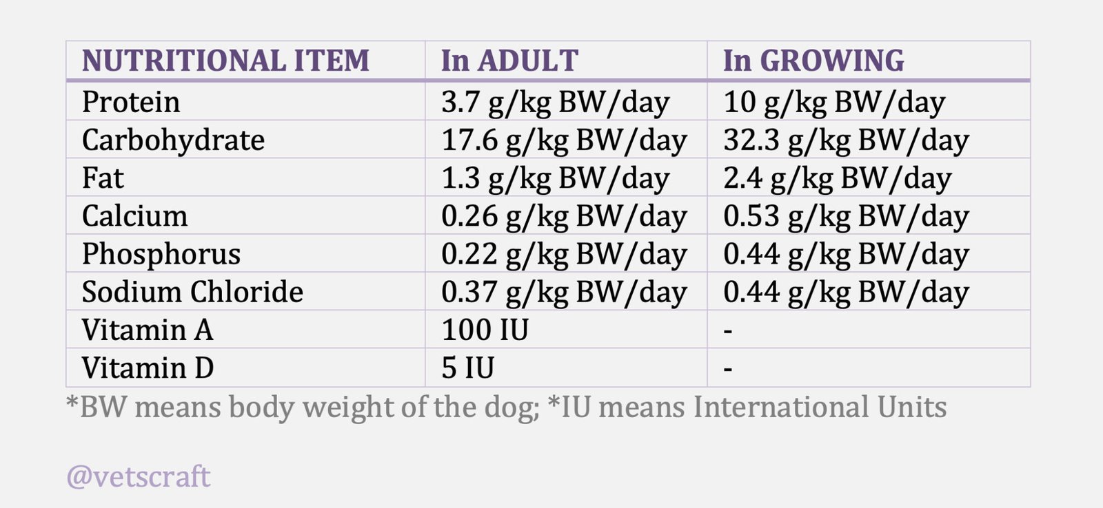 Energy Requirements in Dogs | Veterinarian's Calculation & Advice