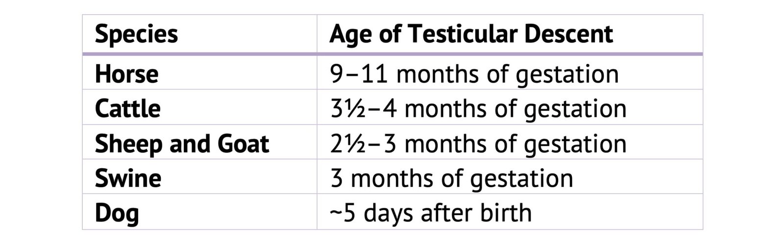 Testicular Descent (Descent of the Testis) in Animals