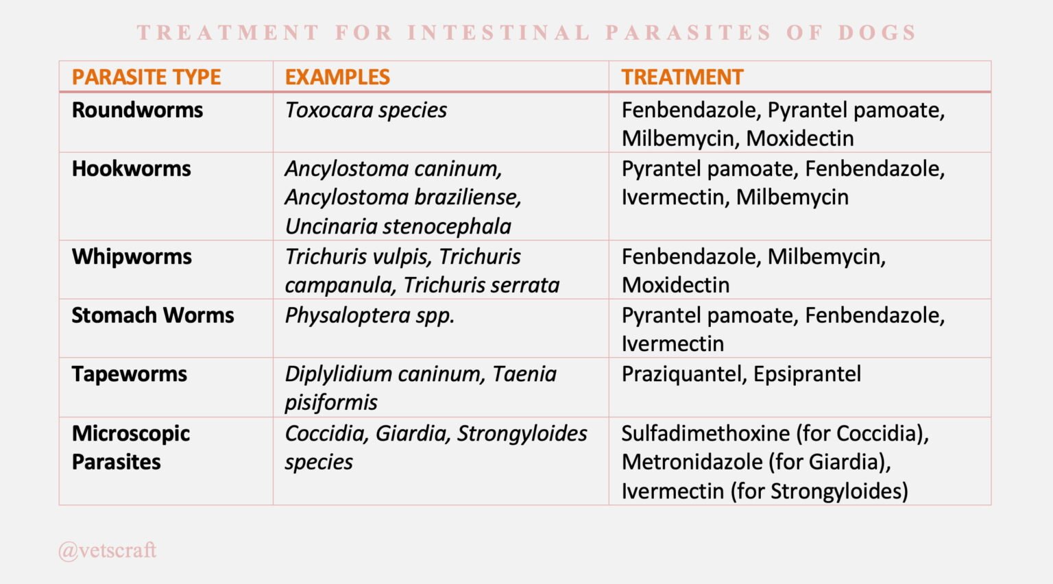 Intestinal Parasites in Dogs | Symptoms, Diagnosis and Treatment