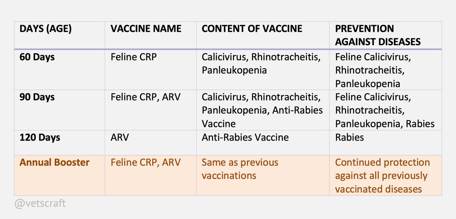 Vaccination Schedule for Cats | Types of Vaccine & Dosage by Vet