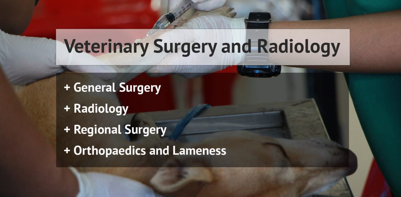 Veterinary Surgery and Radiology | 4th Year BVSc Notes